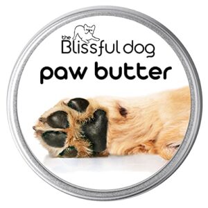 the blissful dog paw butter for your dog's rough and dry paws, 1-ounce