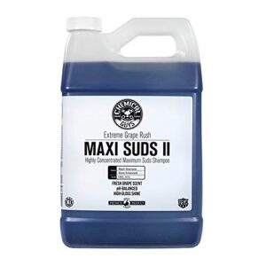 chemical guys cws_1010 maxi-suds ii foaming car wash soap (works with foam cannons, foam guns or bucket washes) safe for cars, trucks, motorcycles, rvs & more, 128 fl. oz (1 gallon), grape scent