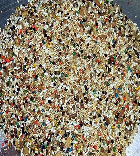 ABBA 1200 Bird Foods Small Hookbill No Sunflower Mix 5lbs