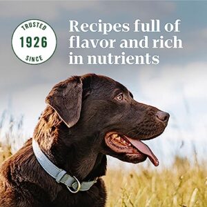 NUTRO NATURAL CHOICE Adult Dry Dog Food, Chicken & Brown Rice Recipe Dog Kibble, 30 lb. Bag