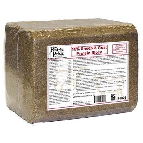 RIDLEY 16826 33LB Sheep/Goat Block