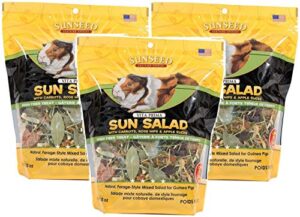 sun seed vitakraft vita prima sun salad treat for guinea pigs (pack of 3)