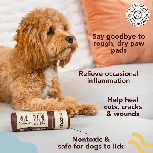 Natural Dog Company PAWDICURE Bundle, Paw Soother + PawTection Dog Paw Balms, Protect and Heal Dry, Cracked Dog Paw Pads, Organic, All Natural Ingredients, 2oz Sticks