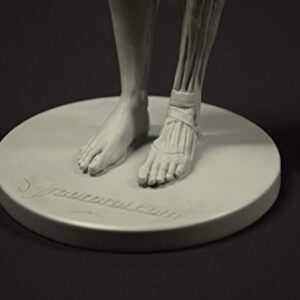 Female Anatomy Figure: 10.5-inch Anatomical Reference for Artists (Grey)