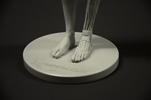 Female Anatomy Figure: 10.5-inch Anatomical Reference for Artists (Grey)