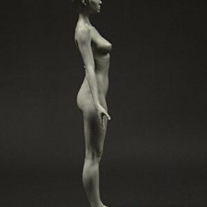 Female Anatomy Figure: 10.5-inch Anatomical Reference for Artists (Grey)