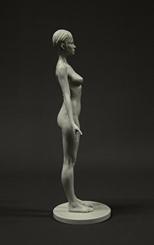 Female Anatomy Figure: 10.5-inch Anatomical Reference for Artists (Grey)