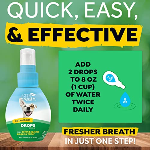 TropiClean Fresh Breath Drops for Dogs | Travel Ready Dog Breath Freshener Concentrated Water Additive Drops | Made in the USA | 2.2 oz.