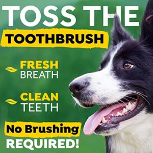 TropiClean Fresh Breath Drops for Dogs | Travel Ready Dog Breath Freshener Concentrated Water Additive Drops | Made in the USA | 2.2 oz.