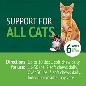 PetNC Natural Care Hairball Soft Chews for Cats, 90 Count