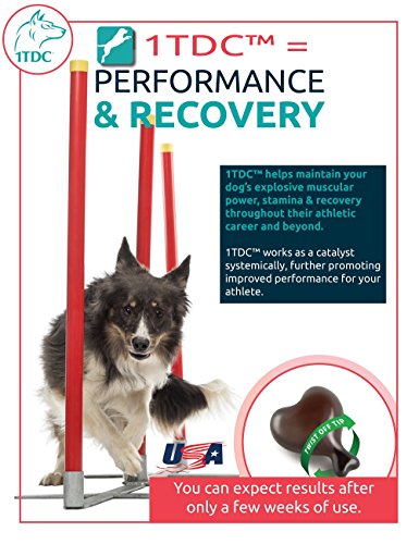 WorksSoWell 1TDC Dual Action Natural Support – 60 Twist Off Soft Gels | Delivers 4 Health Benefits for Dogs & Cats | Supports Oral, Hip & Joint Health, Muscle & Stamina Recovery, Skin & Coat Health