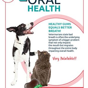 WorksSoWell 1TDC Dual Action Natural Support – 60 Twist Off Soft Gels | Delivers 4 Health Benefits for Dogs & Cats | Supports Oral, Hip & Joint Health, Muscle & Stamina Recovery, Skin & Coat Health