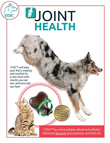 WorksSoWell 1TDC Dual Action Natural Support – 60 Twist Off Soft Gels | Delivers 4 Health Benefits for Dogs & Cats | Supports Oral, Hip & Joint Health, Muscle & Stamina Recovery, Skin & Coat Health