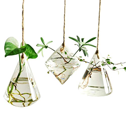 Fashionstorm Indoor Outdoor Glass Hanging Planters Plant Pots Water Plant Containers Flower Pots Glass Terrariums 3 Pieces