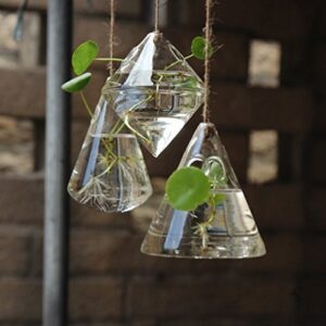 Fashionstorm Indoor Outdoor Glass Hanging Planters Plant Pots Water Plant Containers Flower Pots Glass Terrariums 3 Pieces