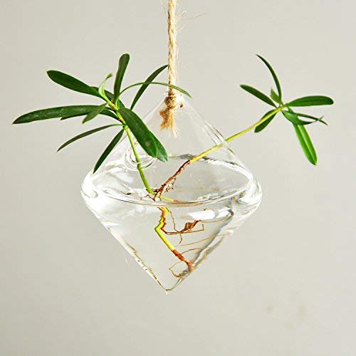 Fashionstorm Indoor Outdoor Glass Hanging Planters Plant Pots Water Plant Containers Flower Pots Glass Terrariums 3 Pieces