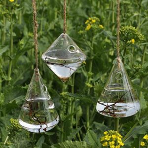 Fashionstorm Indoor Outdoor Glass Hanging Planters Plant Pots Water Plant Containers Flower Pots Glass Terrariums 3 Pieces