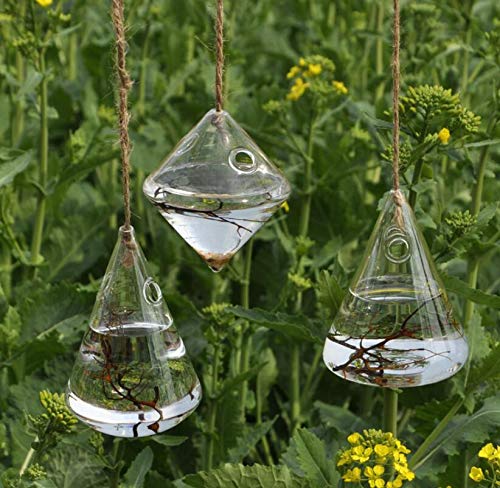 Fashionstorm Indoor Outdoor Glass Hanging Planters Plant Pots Water Plant Containers Flower Pots Glass Terrariums 3 Pieces