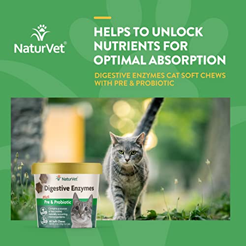 NaturVet – Digestive Enzymes For Cats Plus Probiotics – 60 Soft Chews – Helps Support Diet Change & A Healthy Digestive Tract – Aids in the Absorption of Vitamins & Minerals – 30 Day Supply