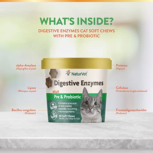 NaturVet – Digestive Enzymes For Cats Plus Probiotics – 60 Soft Chews – Helps Support Diet Change & A Healthy Digestive Tract – Aids in the Absorption of Vitamins & Minerals – 30 Day Supply