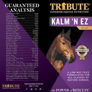 TRIBUTE Kalmbach Feeds Kalm 'N Ez Pellets for Horse, 50 lb