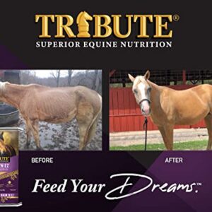 TRIBUTE Kalmbach Feeds Kalm 'N Ez Pellets for Horse, 50 lb