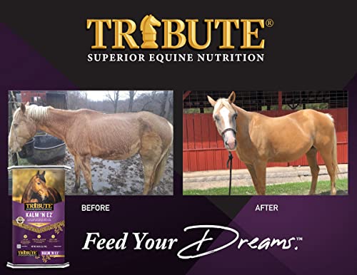 TRIBUTE Kalmbach Feeds Kalm 'N Ez Pellets for Horse, 50 lb