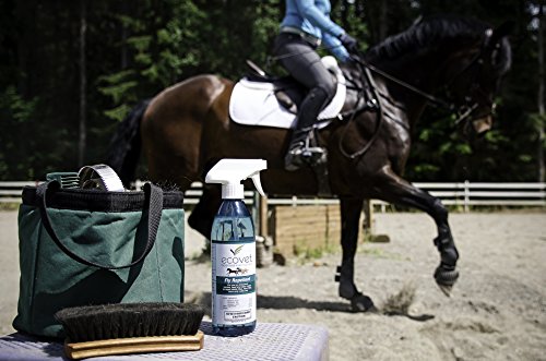 ECOVET Horse Fly Spray Repellent/Insecticide (Made with Food Grade Fatty acids), 18 oz