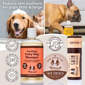 Natural [Dog] Company Oatmeal Sensitive Skin Shampoo, 12 oz., Dandruff Shampoo, Hypoallergenic, Plant Based Ingredients, Bathing Supplies, Itchy [Skin] relief for [Dog]s