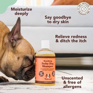 Natural Dog Company Itchy Dog Shampoo, 12 oz., Dog Dry Skin Treatment, Dog Itch Relief, Hypoallergenic, Plant Based Ingredients, Deodorizing Dog Shampoo, Relief from Skin Allergy Symptoms