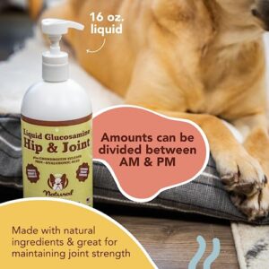 Natural Dog Company Liquid Glucosamine Hip & Joint Oil for Dogs (16 oz) Extra Strength Cartilage and Joint Support , Helps Mobility and Eases Occasional Stiffness, Dog Supplement for All Breeds and Ages, Senior Dog Supplements, Dog Vitamins and Supplement