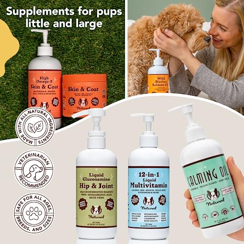 Natural Dog Company Liquid Glucosamine Hip & Joint Oil for Dogs (16 oz) Extra Strength Cartilage and Joint Support , Helps Mobility and Eases Occasional Stiffness, Dog Supplement for All Breeds and Ages, Senior Dog Supplements, Dog Vitamins and Supplement