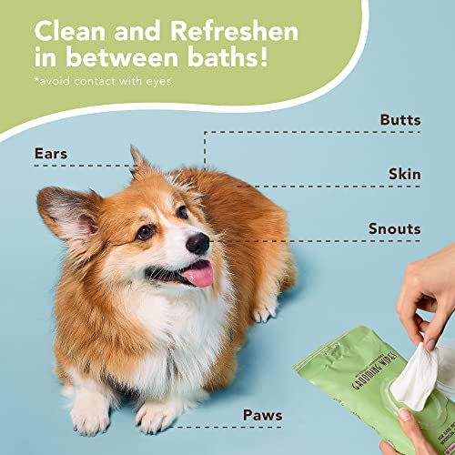 Natural Dog Company Grooming Wipes with Aloe Vera, Cleanses, Soothes, & Deodorizes, Fragrance Free, Hypoallergenic, Biodegradable Wipes (50 Wipes) Aqua