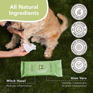 Natural Dog Company Grooming Wipes with Aloe Vera, Cleanses, Soothes, & Deodorizes, Fragrance Free, Hypoallergenic, Biodegradable Wipes (50 Wipes) Aqua