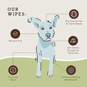 Natural Dog Company Grooming Wipes with Aloe Vera, Cleanses, Soothes, & Deodorizes, Fragrance Free, Hypoallergenic, Biodegradable Wipes (50 Wipes) Aqua