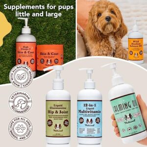 Natural Dog Company Skin & Coat Oil (16 oz.), Supports Skin Health, Fish Oil Supplements for Dogs, Soft and Silky Coat, Salmon Oil & Flaxseed Oil, Fatty Acids, Bottle of Dog Fish Oil with Pump