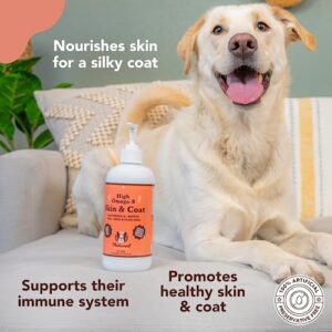 Natural Dog Company Skin & Coat Oil (16 oz.), Supports Skin Health, Fish Oil Supplements for Dogs, Soft and Silky Coat, Salmon Oil & Flaxseed Oil, Fatty Acids, Bottle of Dog Fish Oil with Pump