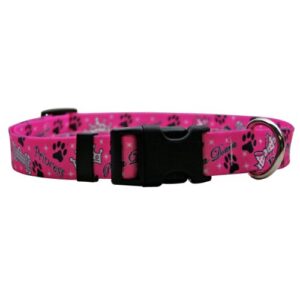 yellow dog design diva dog collar fits neck 14 to 20"/4" wide, medium 3/4" wide