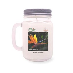 Country Jar Bird of Paradise Soy Mason Handle Candle (16 oz.) 100 Burn Hours - Made with US Grown SuperSoy