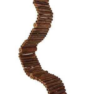 Prevue Pet Toy NAT Wonder Walk Bird Ladder, Large (62809),Brown