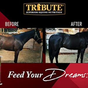 TRIBUTE Kalm Ultra for Horse, 50 lb