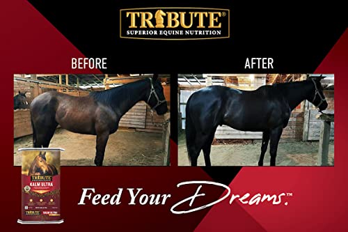 TRIBUTE Kalm Ultra for Horse, 50 lb