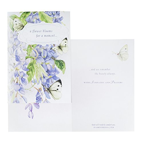 Sympathy - Inspirational Boxed Cards - Marjolein Bastin