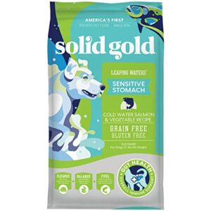 solid gold leaping waters - dry dog food for sensitive stomach - grain & gluten free - with salmon & vegetables - digestive probiotics for gut health - omega, superfood & antioxidant support for dogs