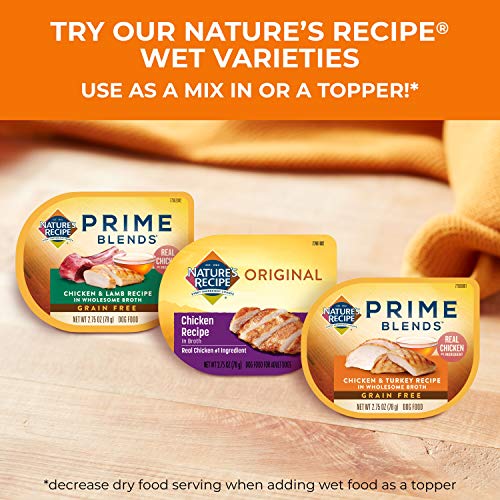 Nature′s Recipe Dry Puppy Food, Grain Free Puppy Chicken, Sweet Potato & Pumpkin Recipe, 4 lb. Bag