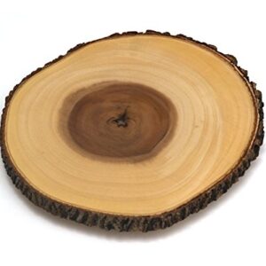 Lipper International Acacia Tree Bark Footed Server for Cheese, Crackers, and Hors D'oeuvres, Large