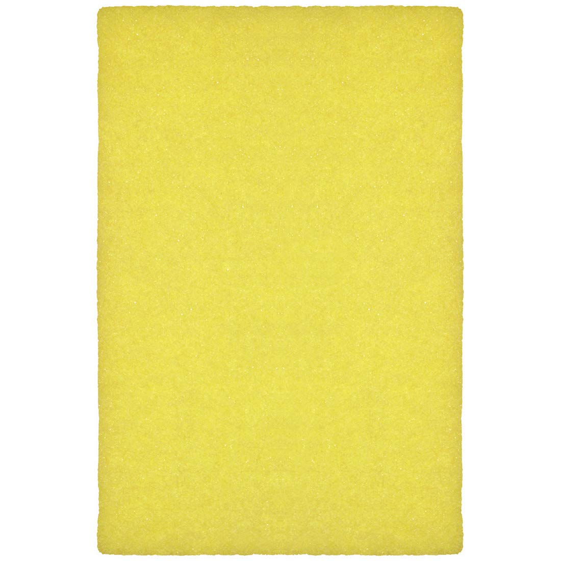 Nanoskin (86-486) Scrub Away Bug & Tar Remover Pad, 6" x 9"