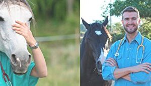 Horse Treats: A to Z Horse Cookies Original Flavor, A Softer Cookie Made with Lite Molasses, Low Carb, Low Sugar, Wheat, Corn, Soy and Alfalfa Free. Made With Organic, All Natural Human Grade Ingredients, May Be Used as a Horse Pill Popper, 4.5 lbs Box