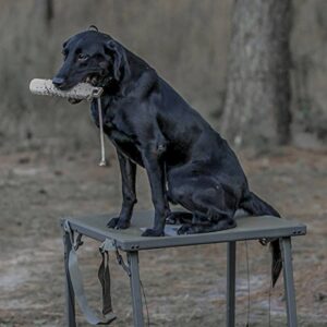 Banded Hybrid Slough Stand