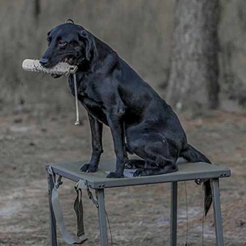 Banded Hybrid Slough Stand